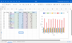 Enterprise Online Spreadsheet Solution